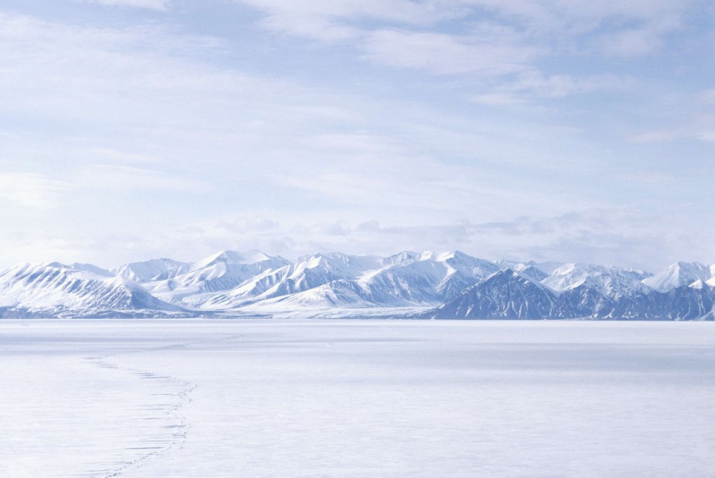 Warum es wichtig ist, die Bibel zu lesen | Bayless Conley